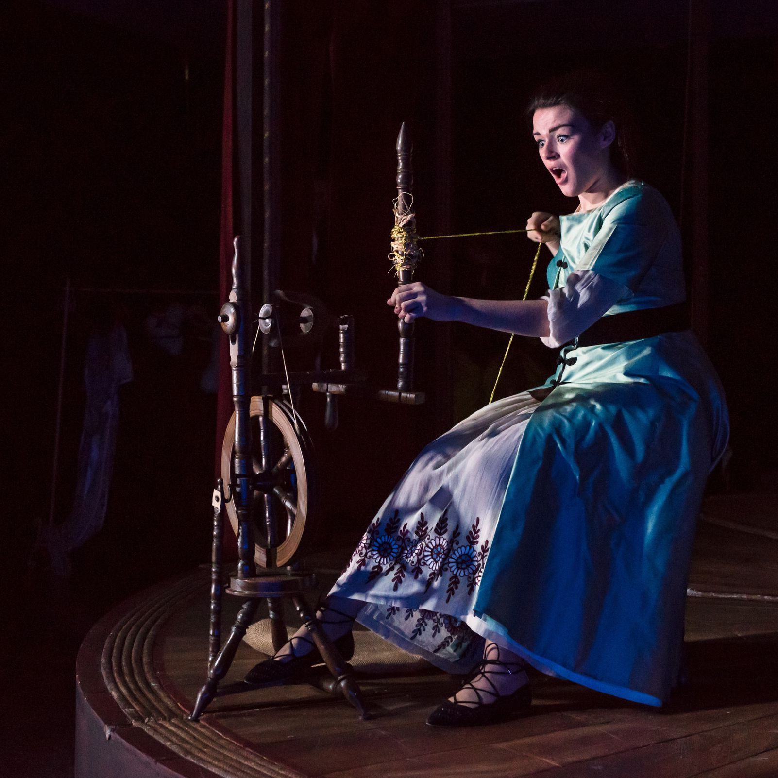 The Rattler - What's On - Saffron Hall